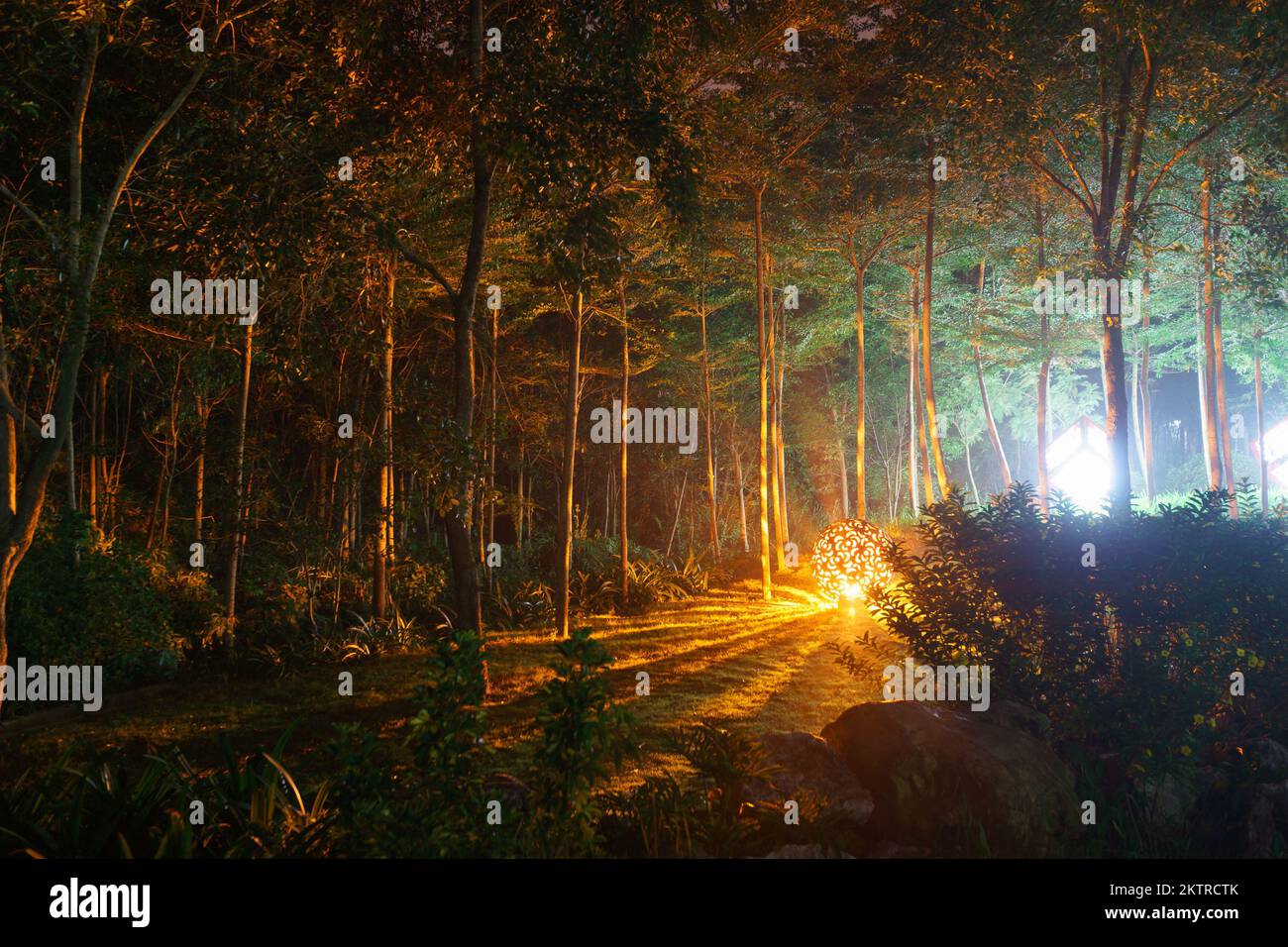 Park with mystical light at night Stock Photo - Alamy