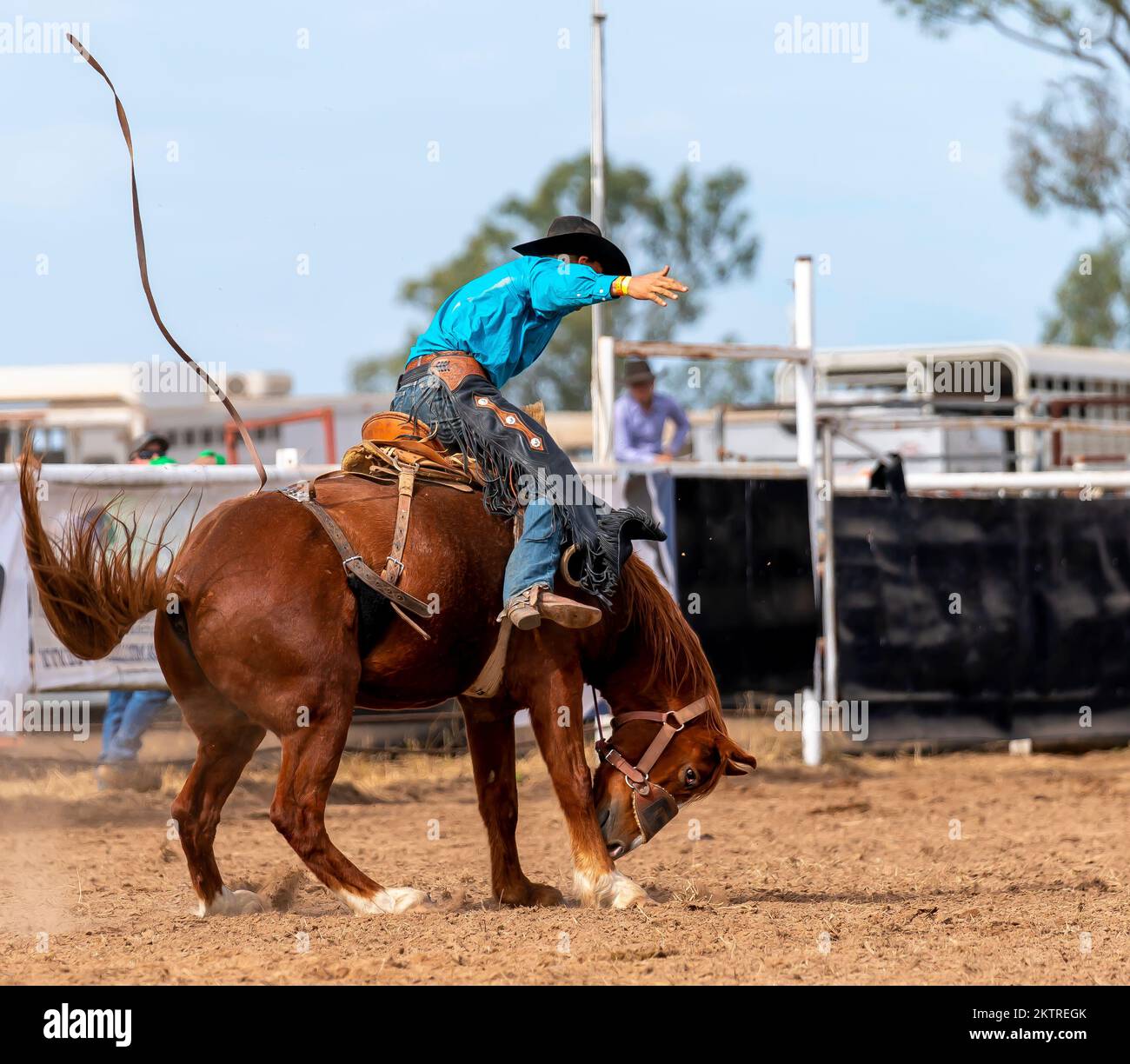 Cowboy riding a bucking saddle bronc at a country rodeo Australia Stock ...