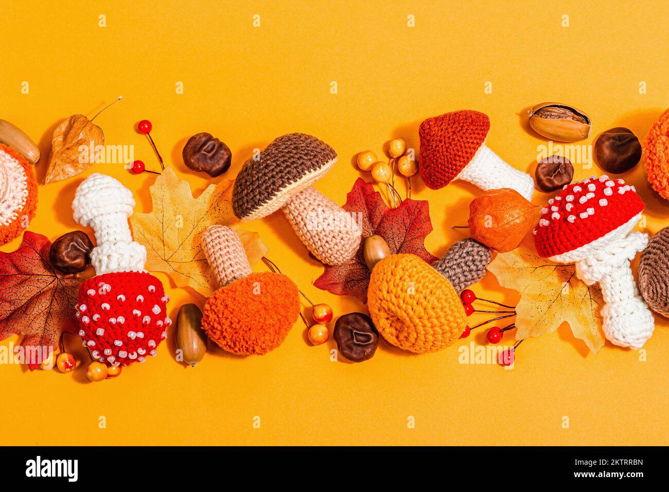 Traditional autumn background. Assorted of different knitted mushrooms ...
