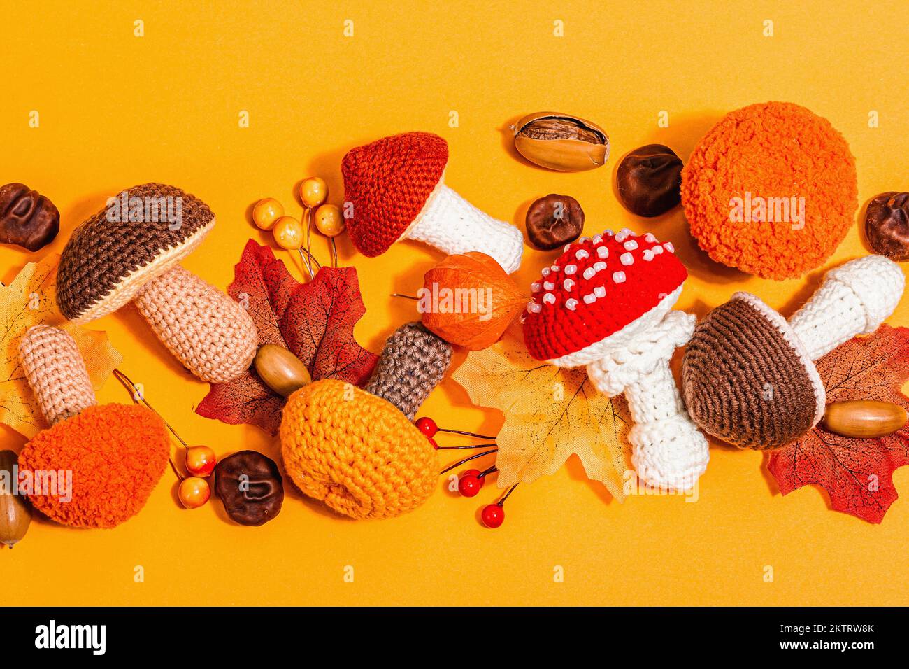 Traditional autumn background. Assorted of different knitted mushrooms ...