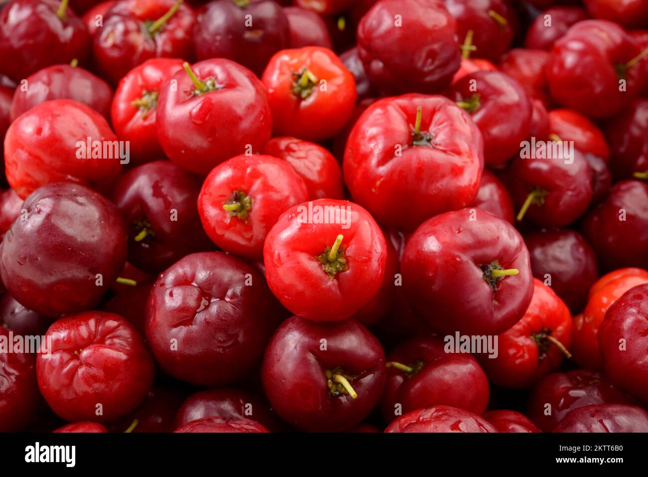 Fresh organic cherry acerolas close-up forming a background pattern ...