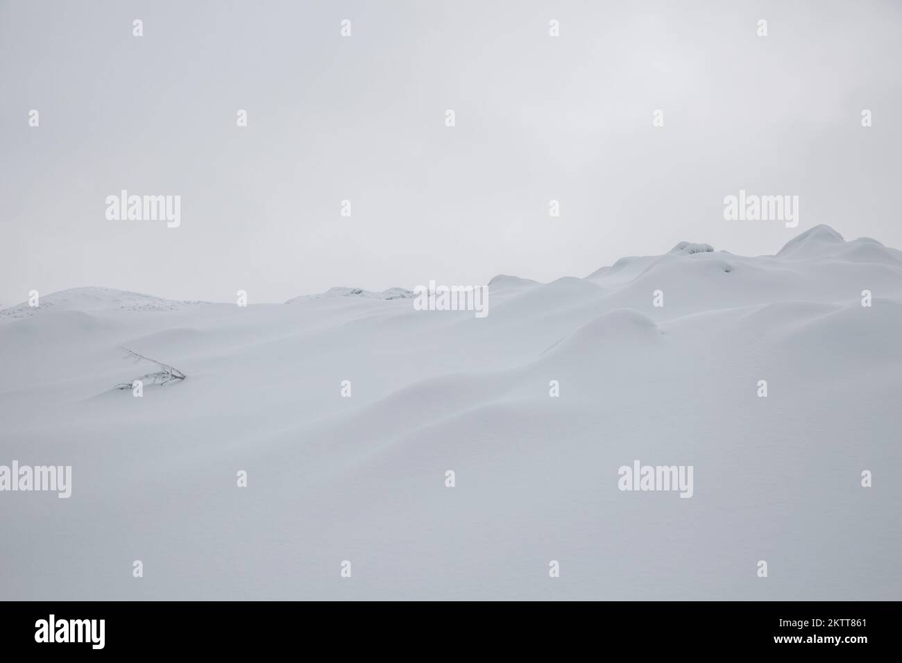 Flat winter landscape. Snowy backgrounds. Snowdrifts. Snowfall. Clear ...