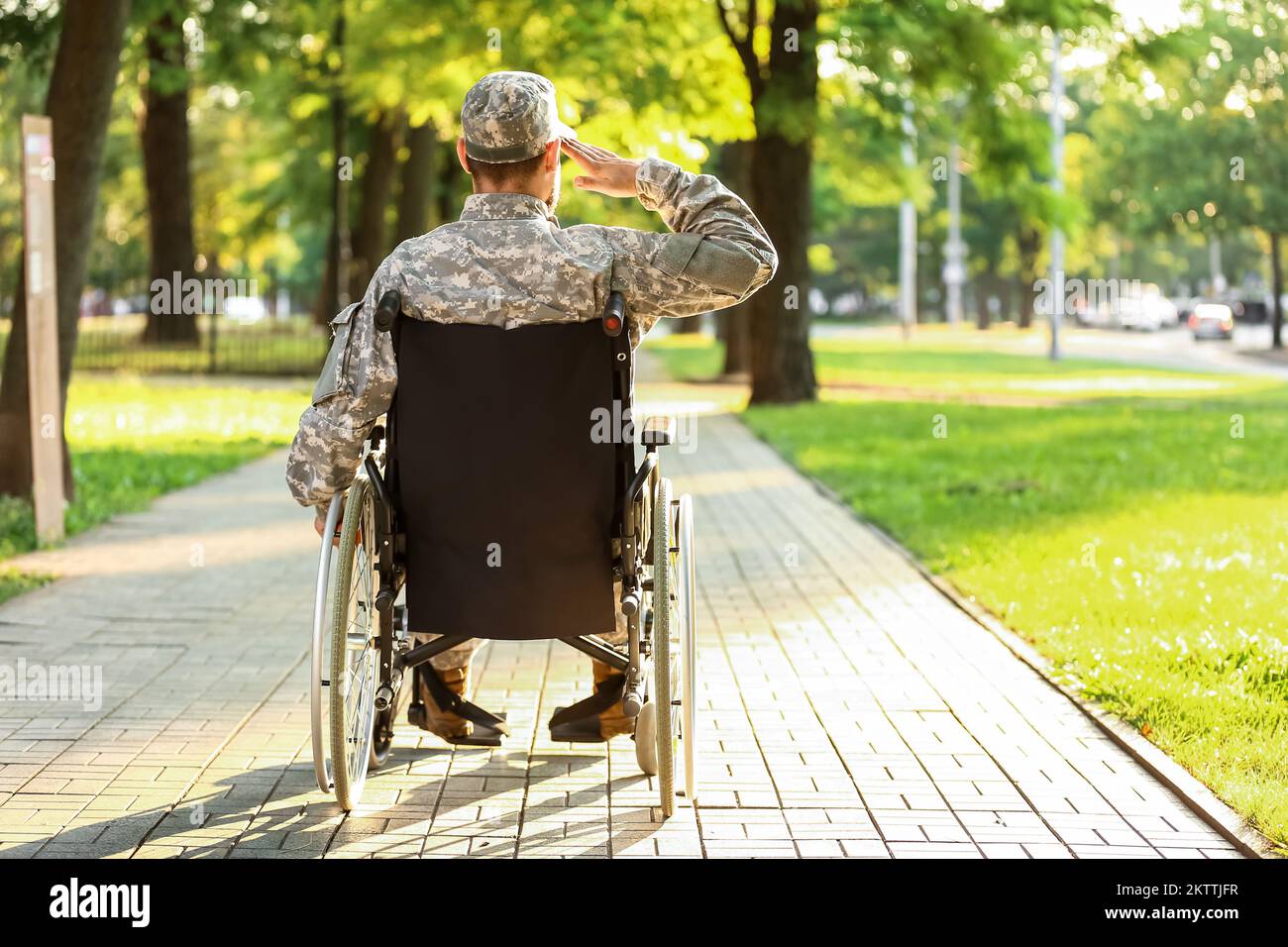 Young soldier in wheelchair saluting outdoors, back view Stock Photo ...