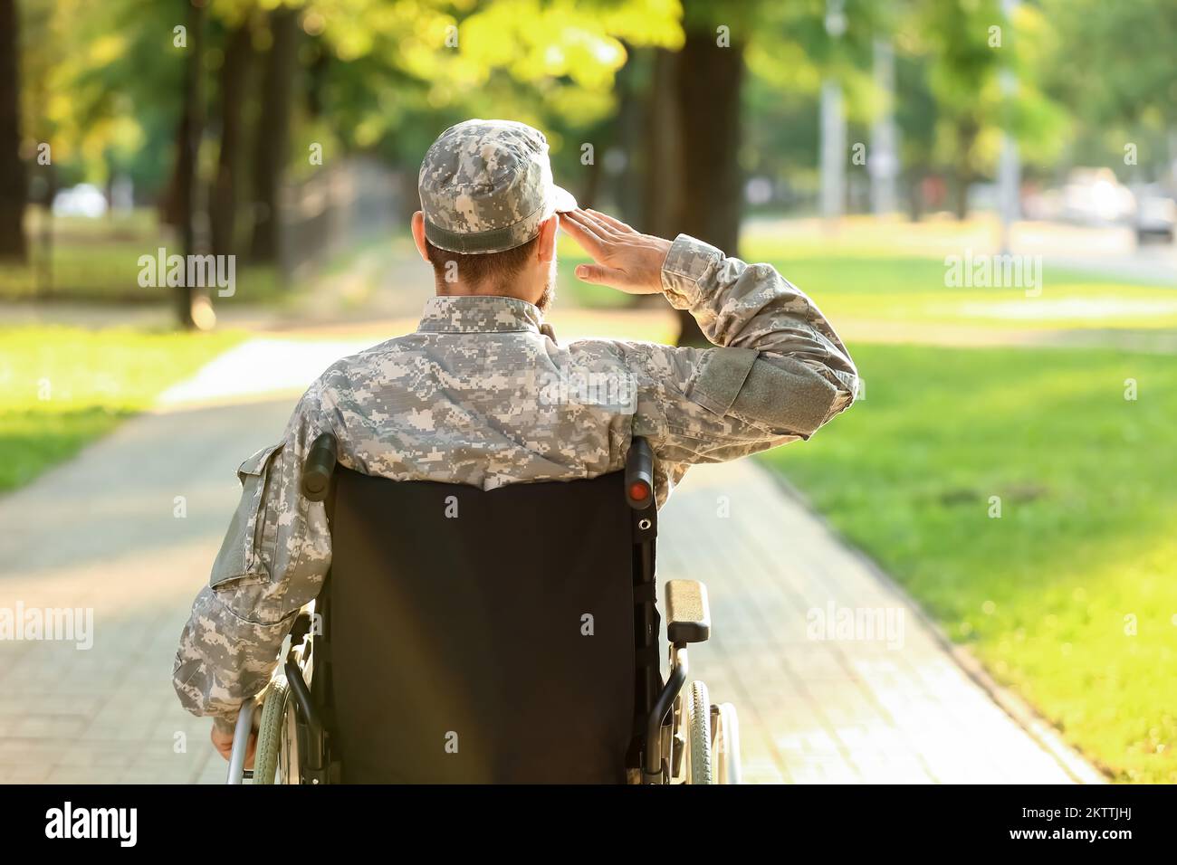 Young soldier in wheelchair saluting outdoors, back view Stock Photo ...