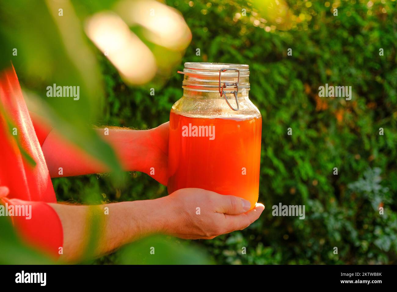Honey in a transparent glass jar In the hands of a beekeeper in the sun ...