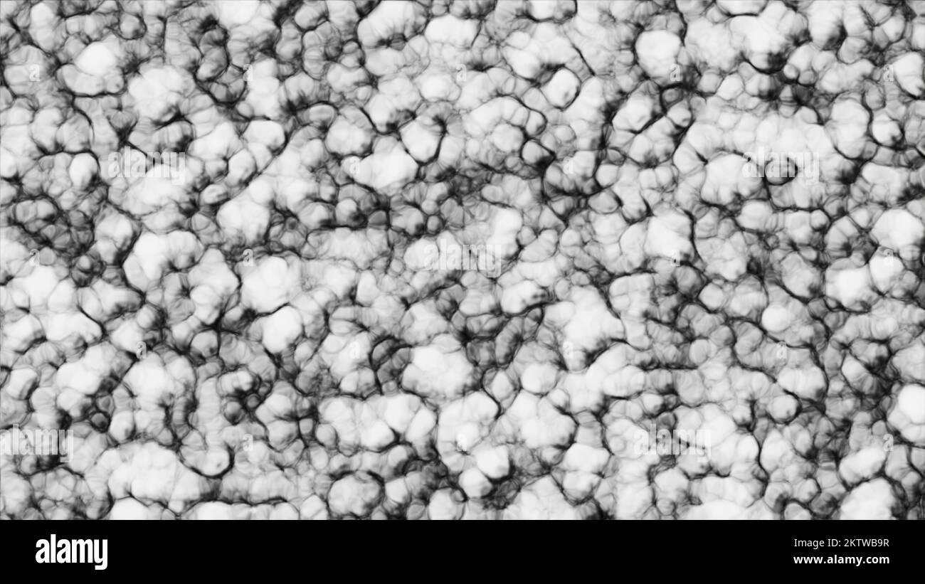 Liquid Particles Animation