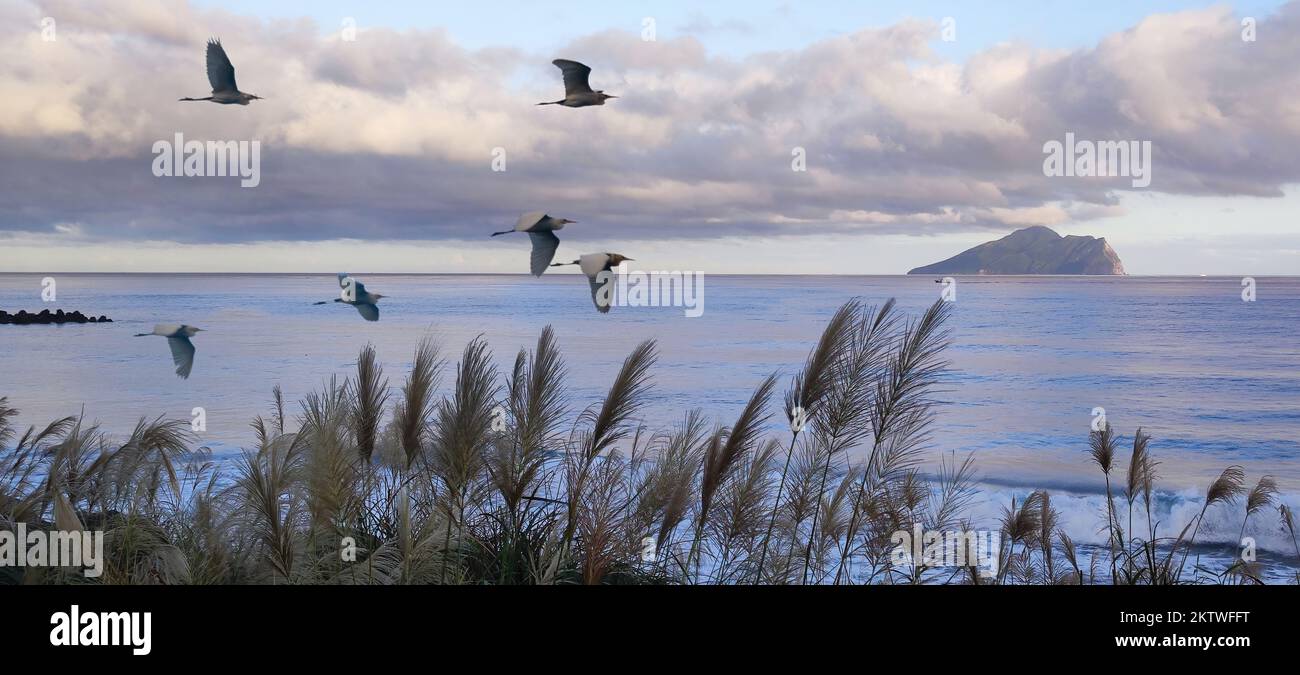 The Guishan Island Turtle Island in Yilan county, Taiwan Stock Photo ...