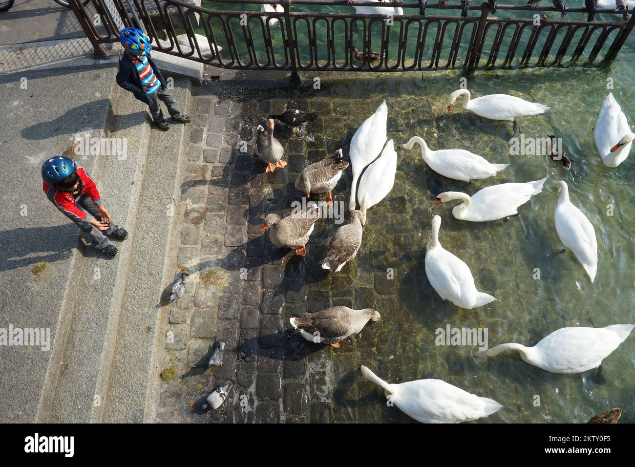 GENEVA - SEP 11: boys feeding birds on September 11, 2014 in Geneva ...