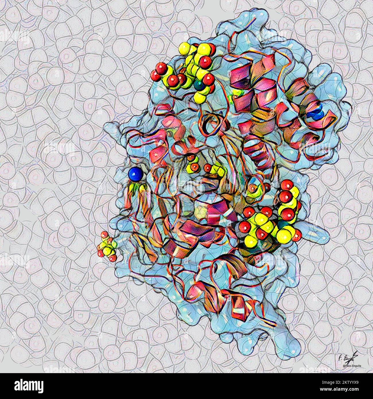 Cholinesterase enzyme, illustration Stock Photo - Alamy
