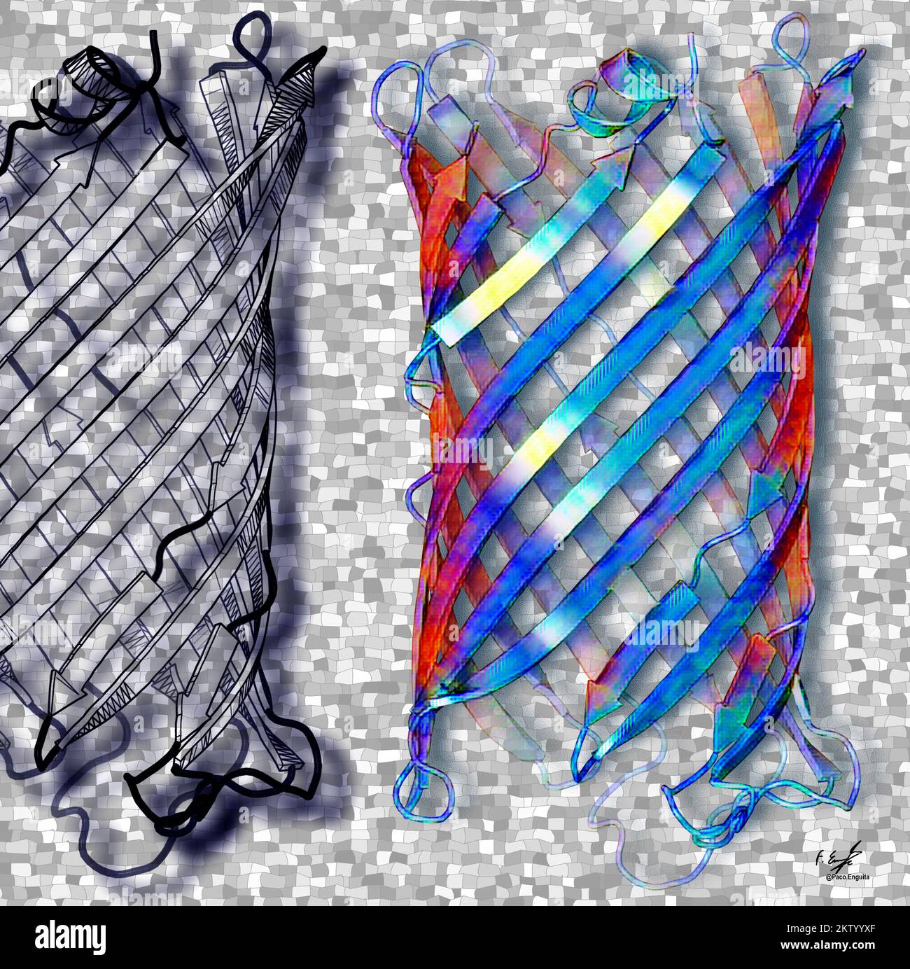 Bacterial outer membrane protein, illustration Stock Photo - Alamy