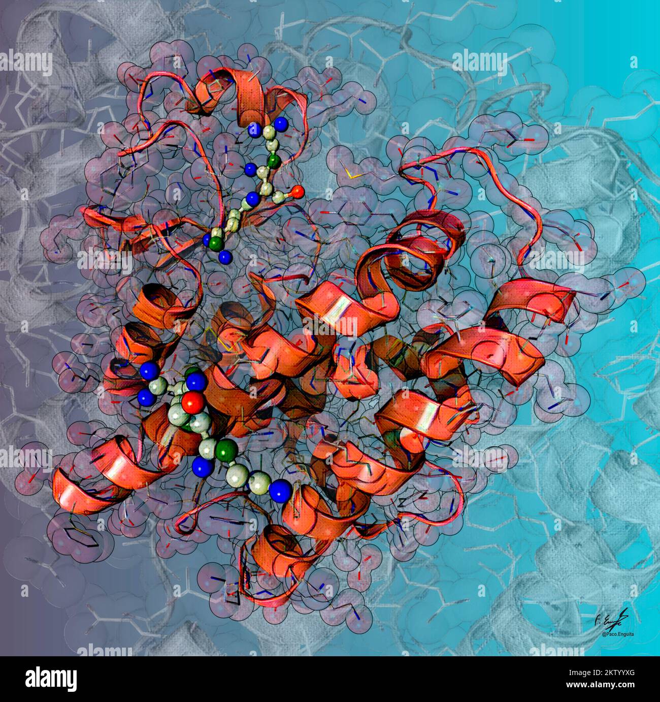 Glutathione S-transferase molecule, illustration Stock Photo - Alamy