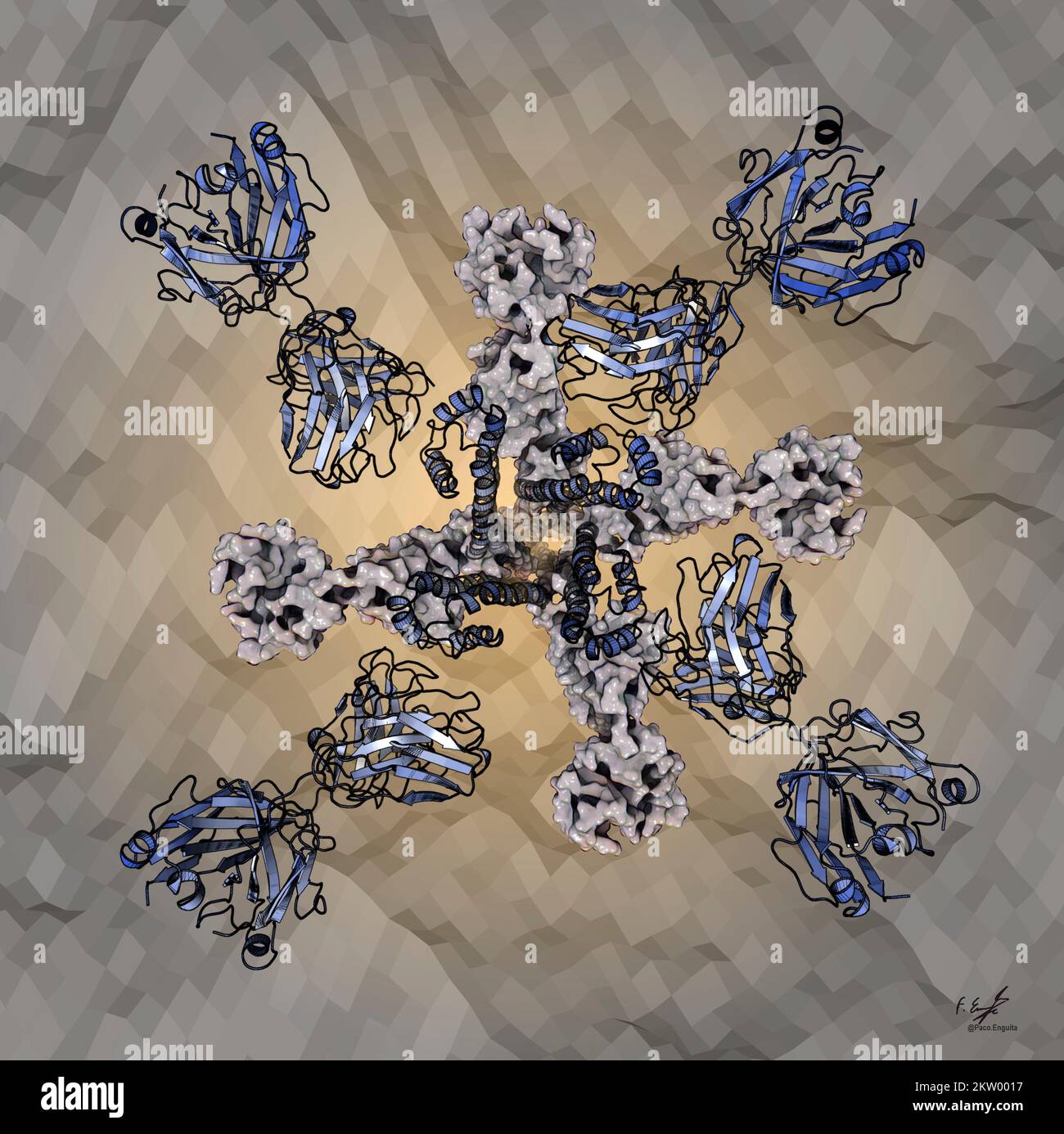 Voltage-gated sodium channel pore, molecular model Stock Photo - Alamy