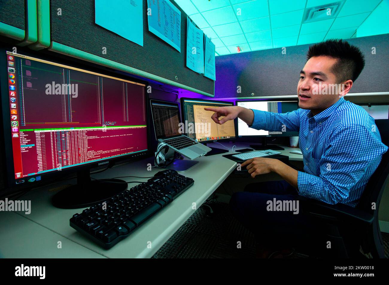 Bioinformatician analysing whole genome sequencing data Stock Photo - Alamy