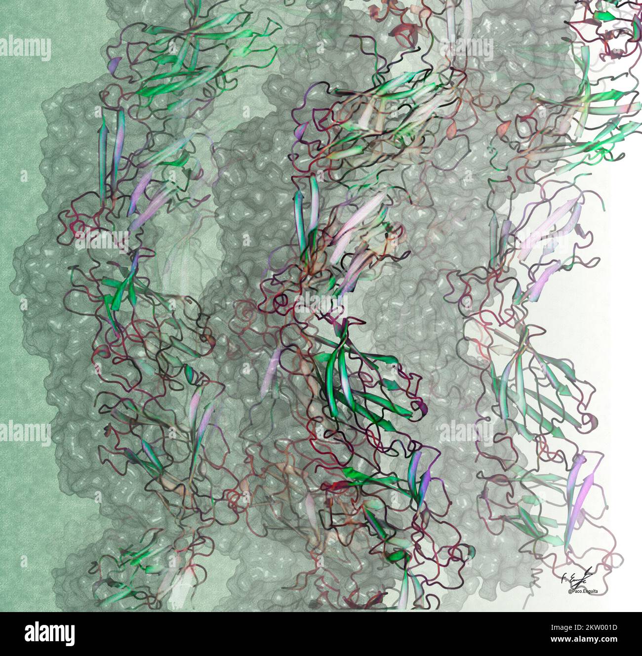 Archaeal surface filaments, illustration Stock Photo - Alamy