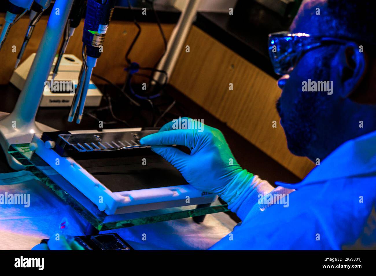 Preparing bacterial DNA for DNA fingerprinting Stock Photo - Alamy