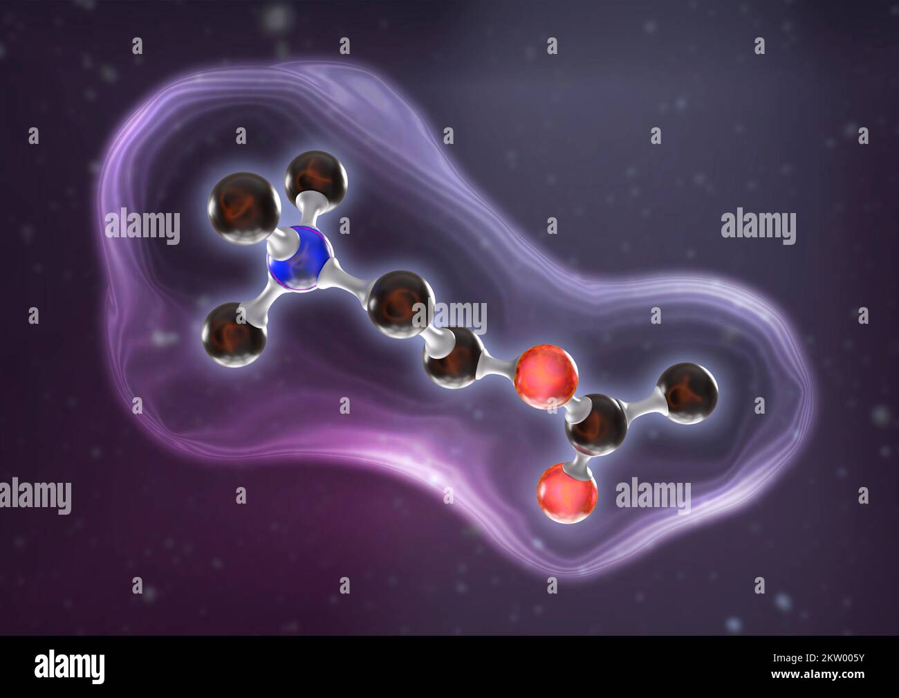 Acetylcholine neurotransmitter molecule, illustration Stock Photo - Alamy