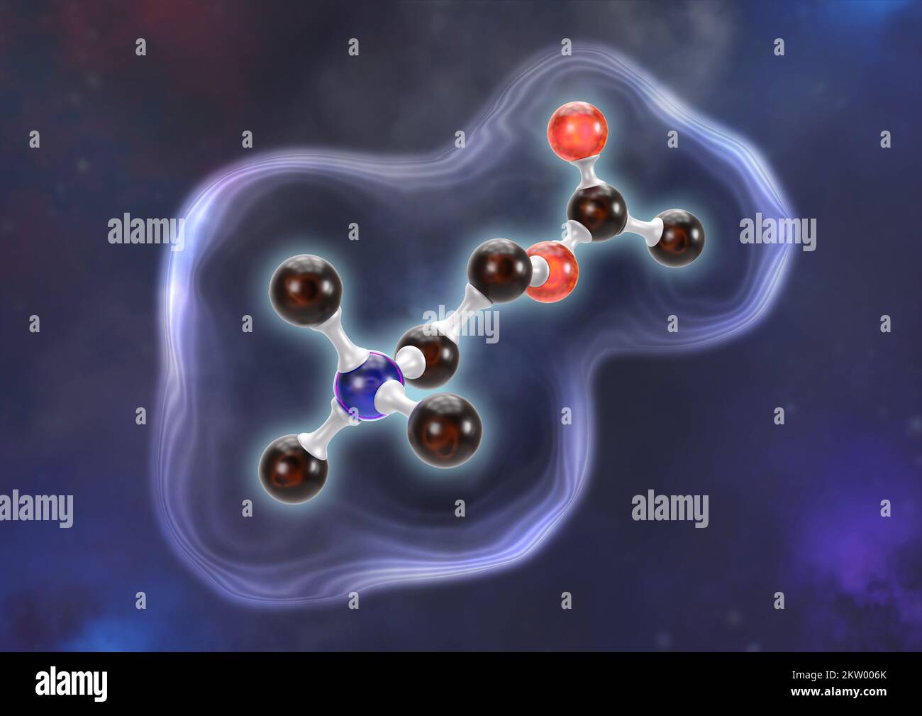 Acetylcholine neurotransmitter molecule, illustration Stock Photo - Alamy
