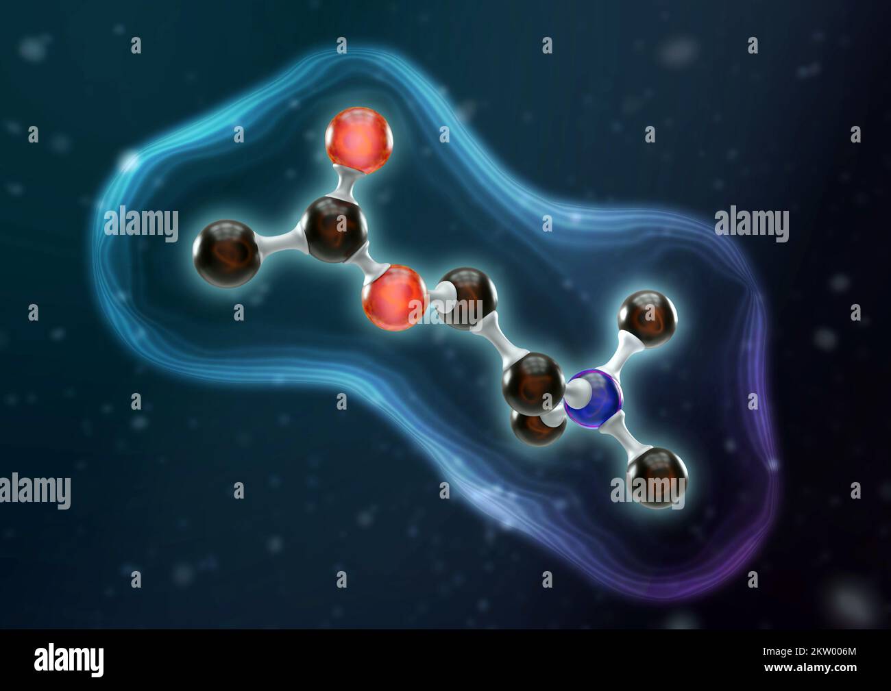 Acetylcholine neurotransmitter molecule, illustration Stock Photo - Alamy