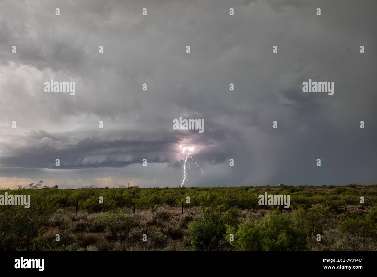 Lightning, New Mexico, USA Stock Photo - Alamy