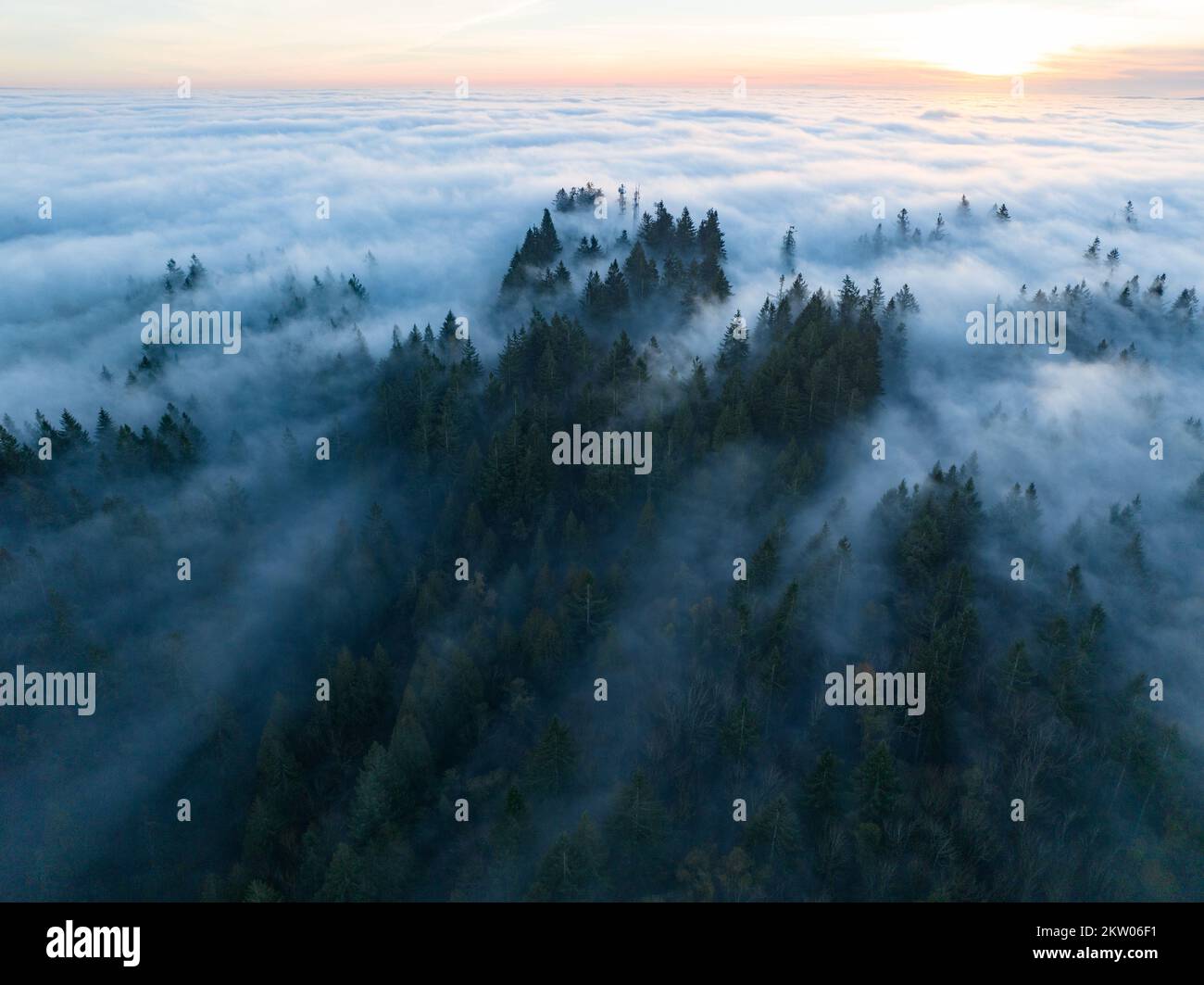 Portland hills hi-res stock photography and images - Alamy