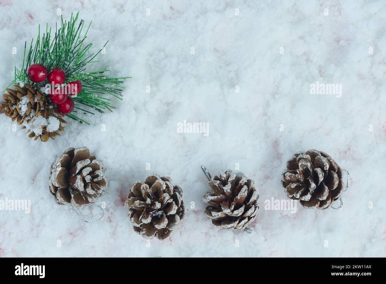 Bucket of pine cone, leaves and red berries on the snow Stock Photo - Alamy