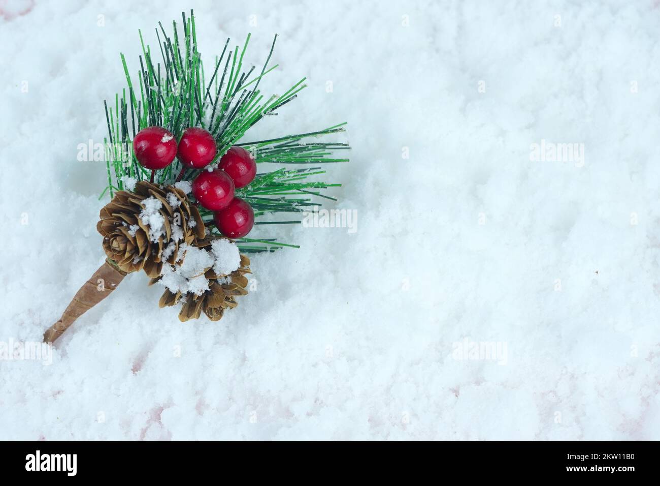 Bucket of pine cone, leaves and red berries on the snow Stock Photo - Alamy