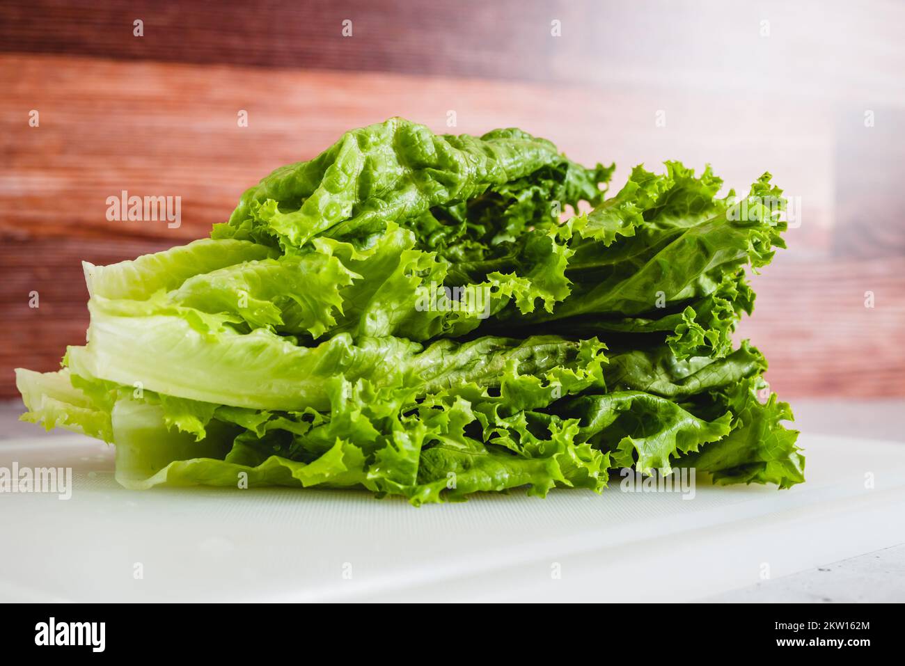 Green leaf lettuce. Close-up of fresh organic green leaves on cutting ...