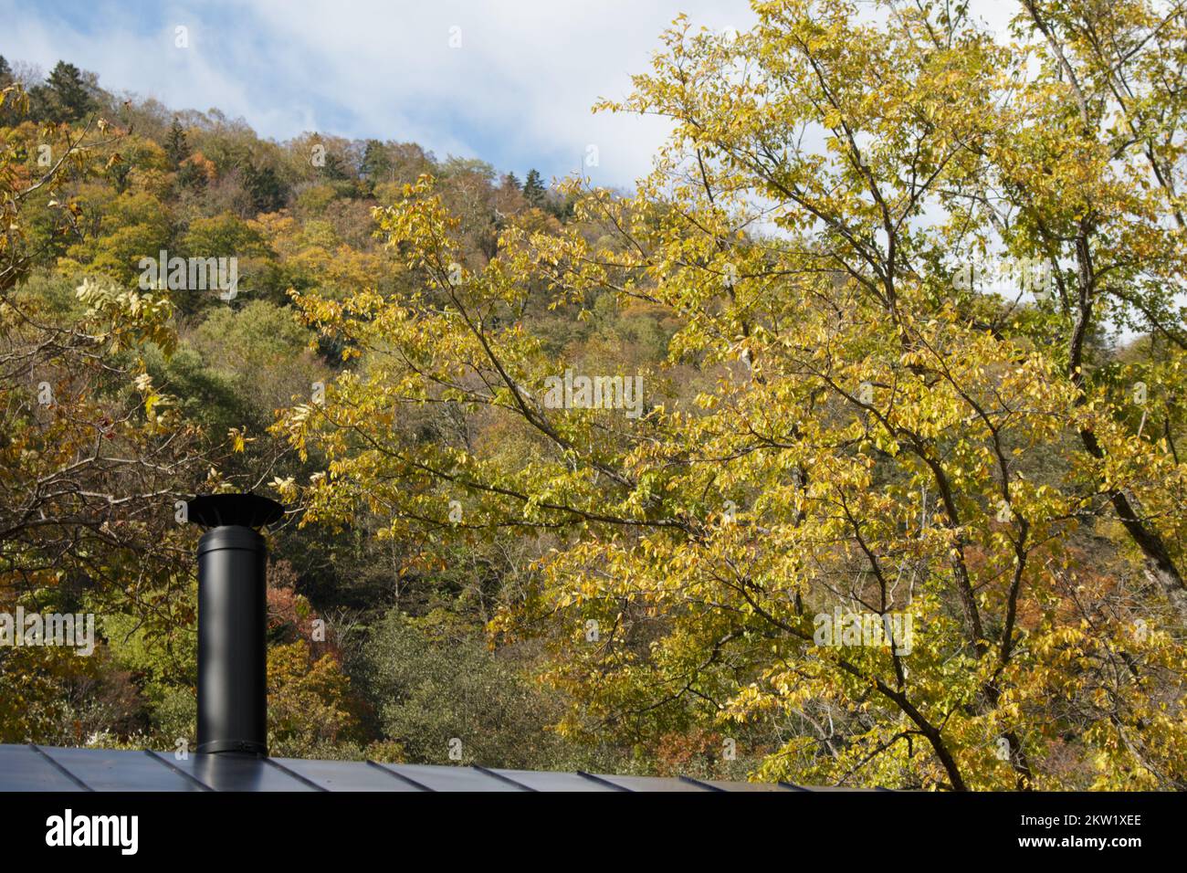 Black metal house chimney with forest background Stock Photo - Alamy