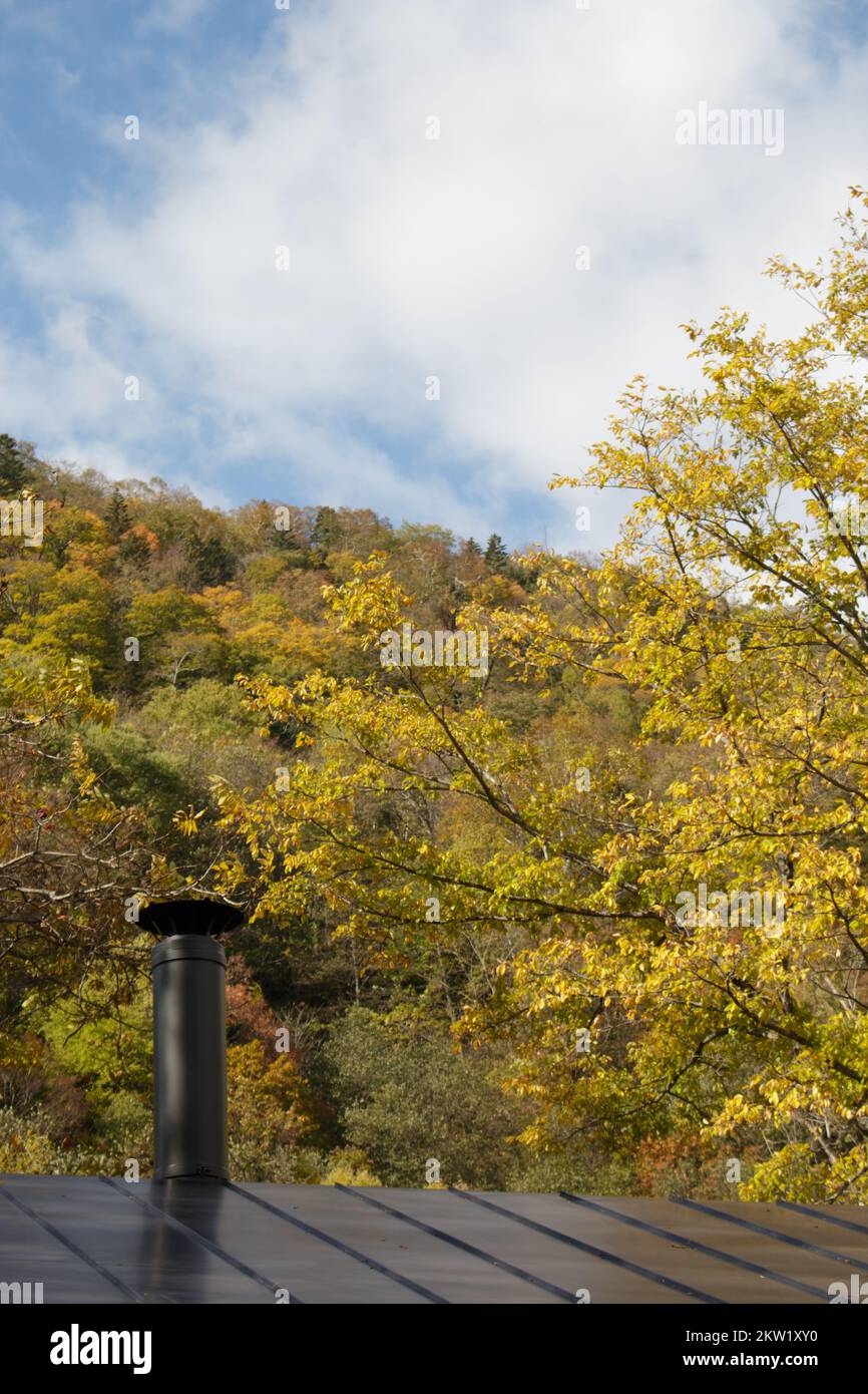 Black metal house chimney with forest background Stock Photo - Alamy