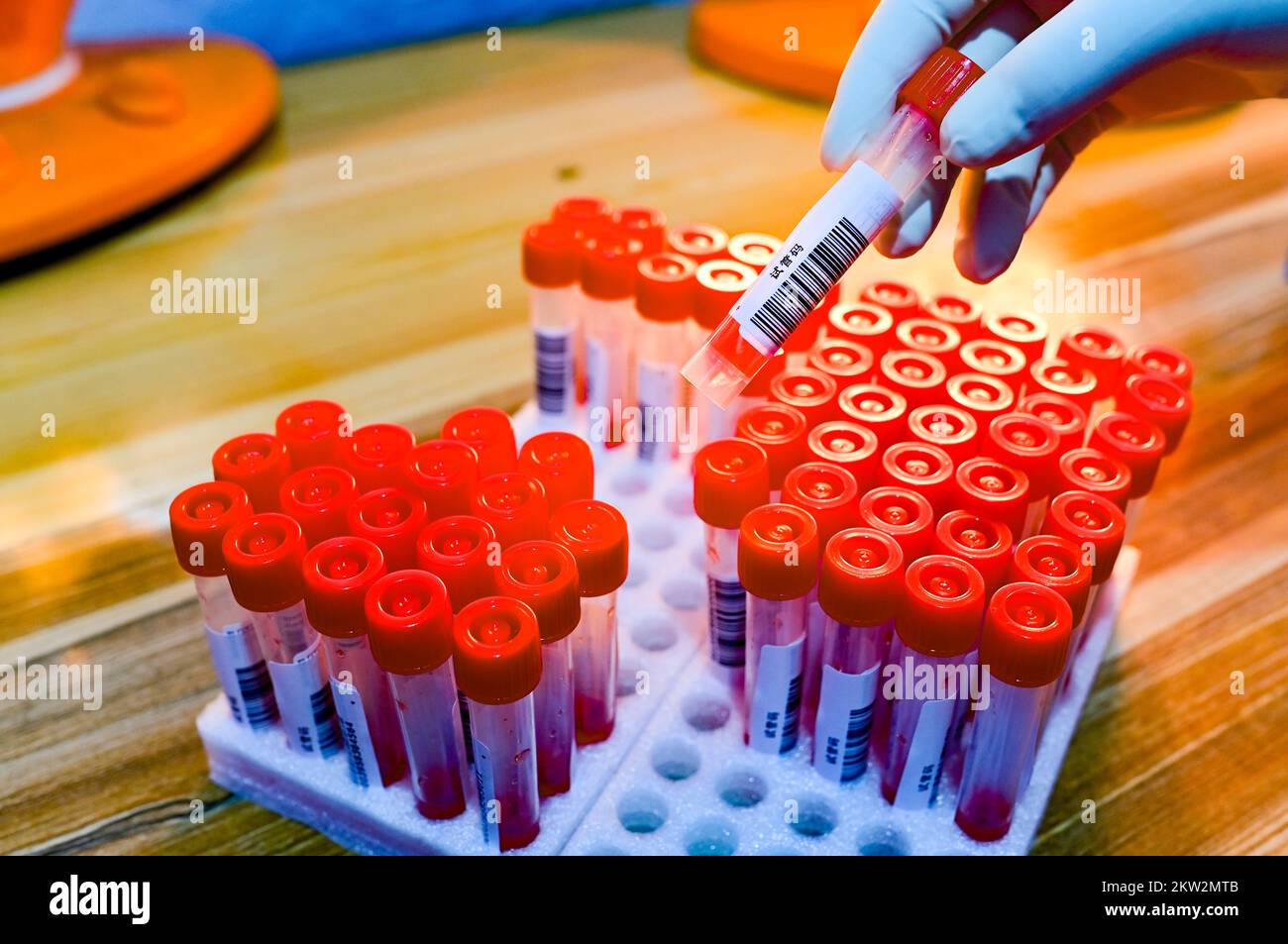 HOHHOT, CHINA - NOVEMBER 30, 2022 - A medical worker prepares nucleic ...