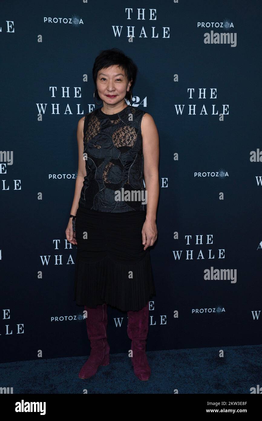 New York, NY, USA. 29th Nov, 2022. Cathy Park Hong at arrivals for THE ...