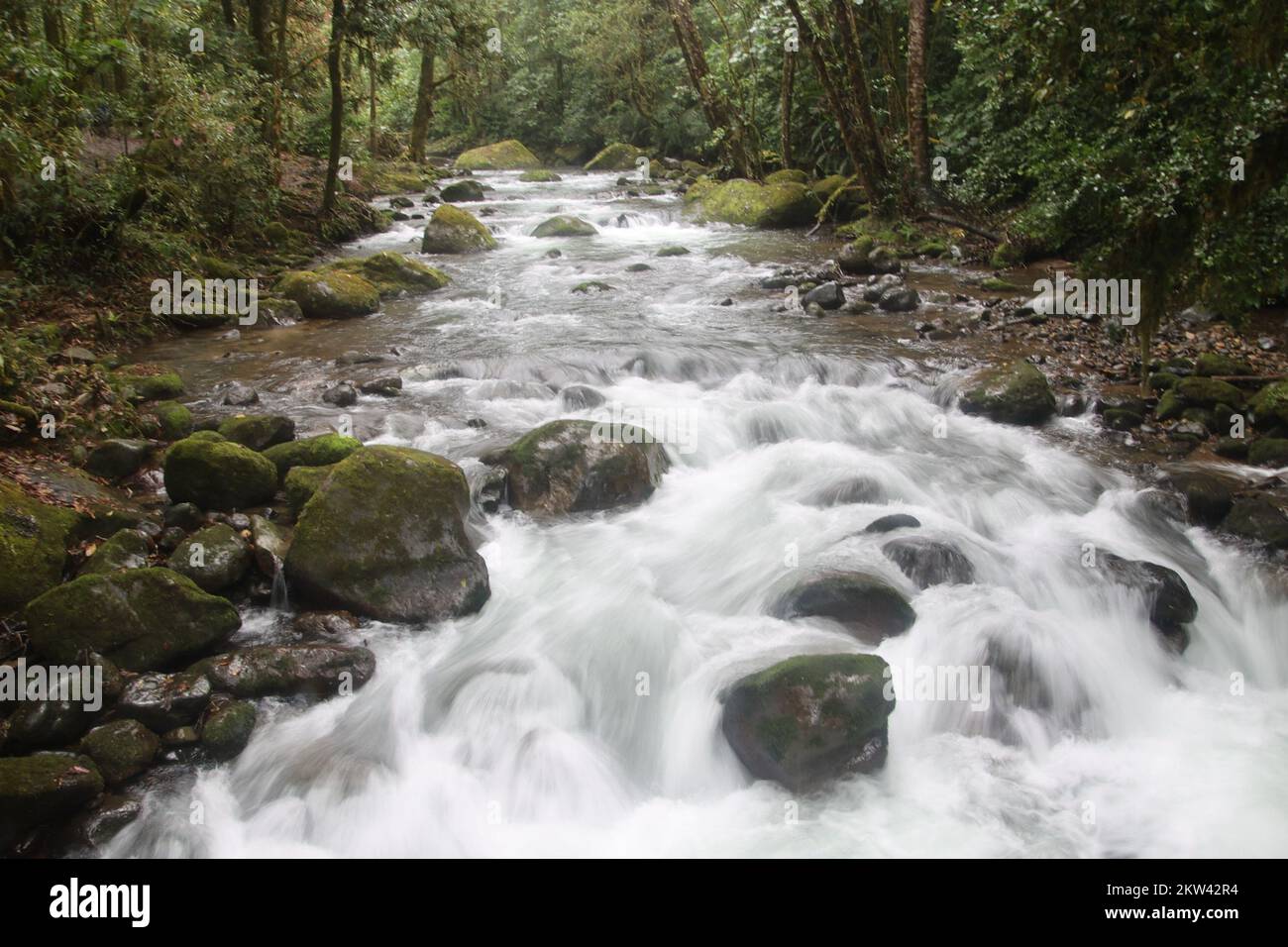 Pristine rivers and waterfalls in Savegre, Costa Rica Stock Photo - Alamy