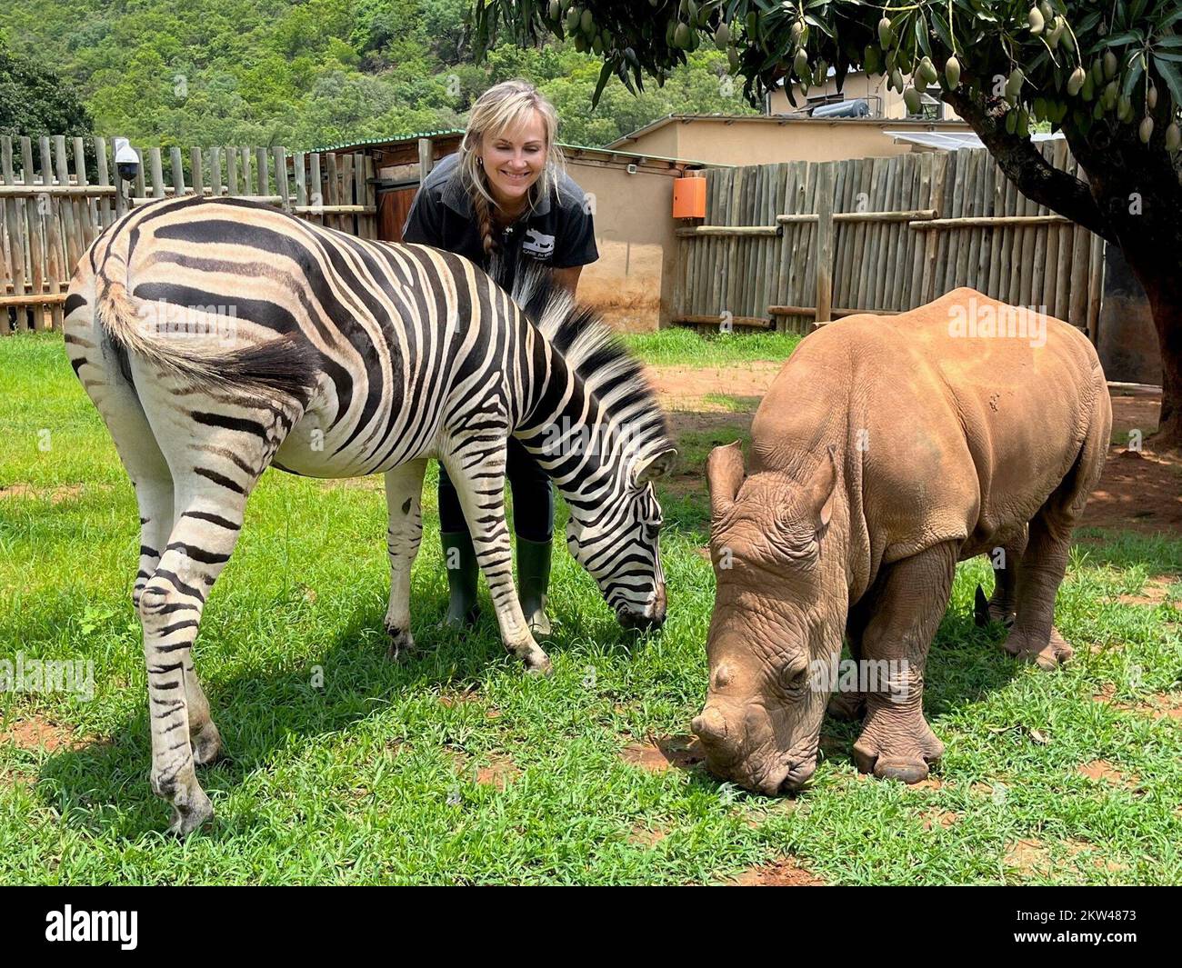 Mbombela, South Africa. 23rd Nov, 2022. Baby rhino Daisy and baby zebra ...