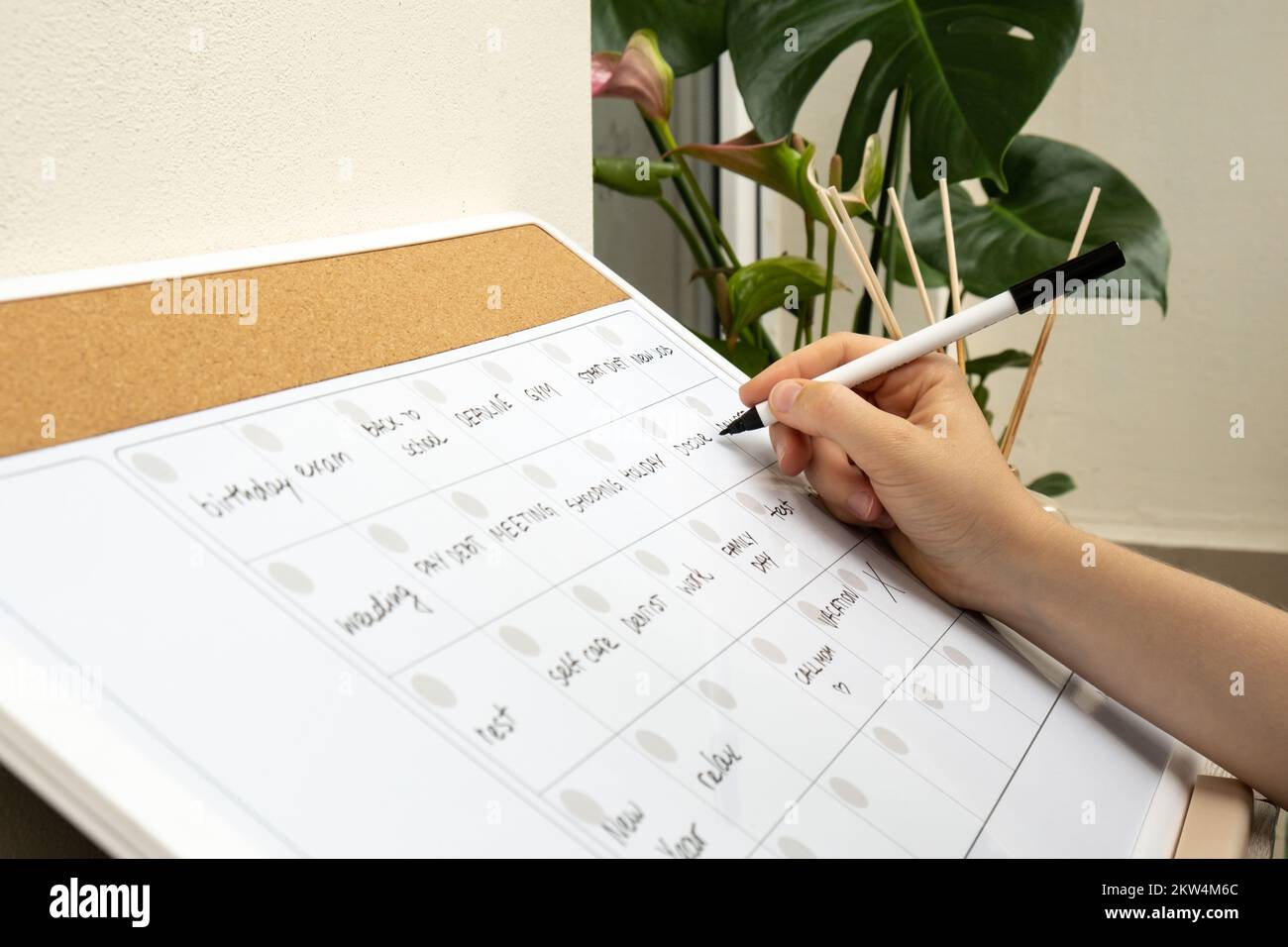 Female hand writing with marker on Monthly PLANNER filled with ...