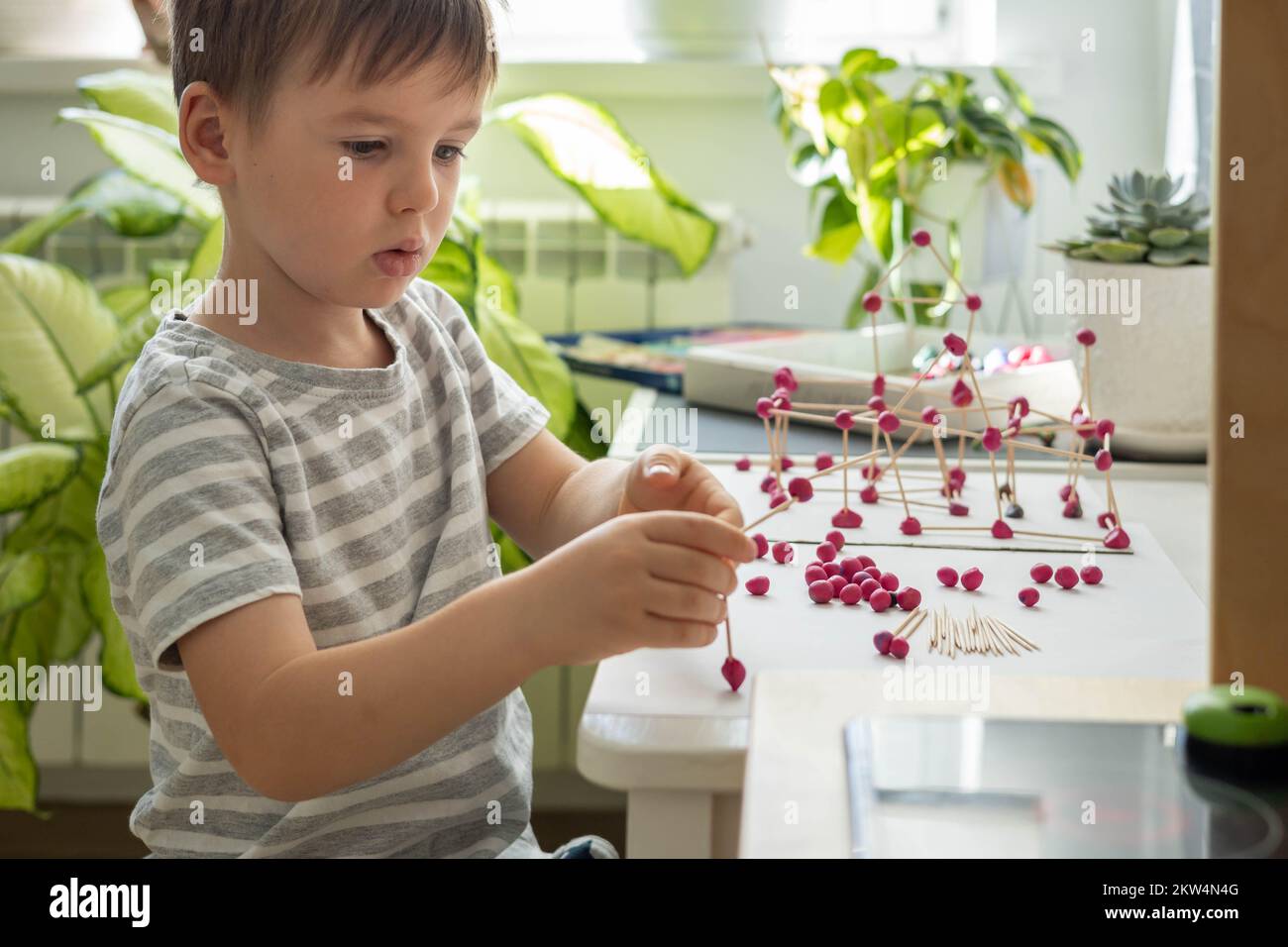 Toothpick Sculpture For Kids