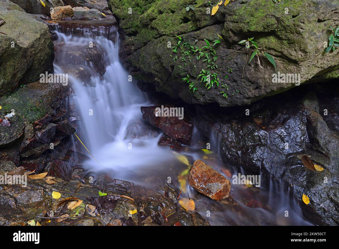 Tonsai waterfall hi-res stock photography and images - Alamy
