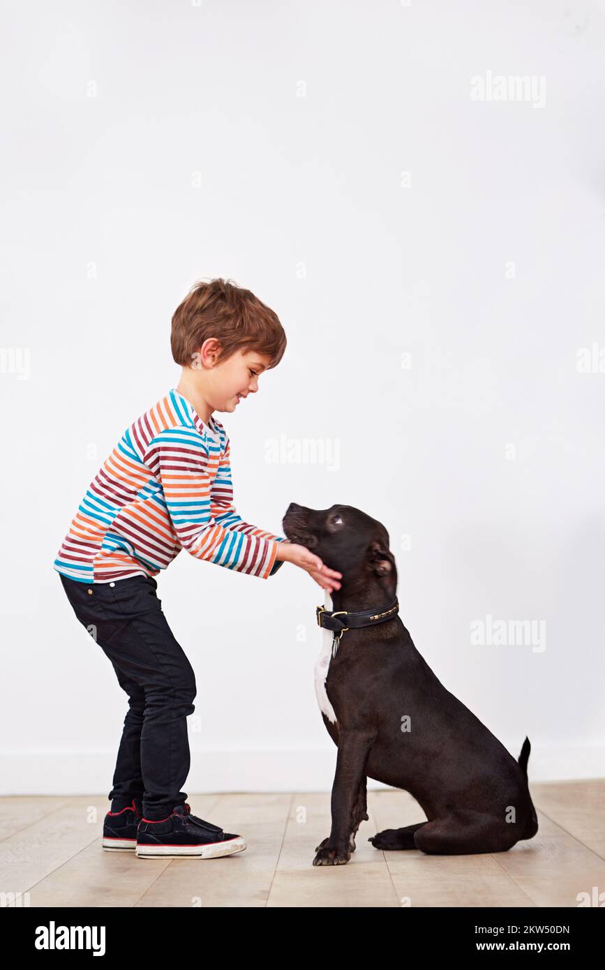 Thats a good boy...a cute little boy playing with his dog Stock Photo ...