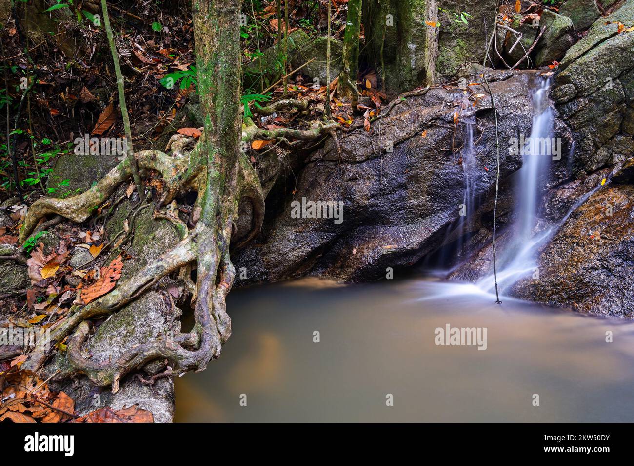 Cascades of the Kathu Waterfall, Phuket, Thailand, Asia Stock Photo - Alamy
