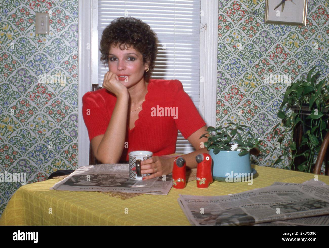 Stephanie Braxton Circa 1980's Credit: Ralph Dominguez/MediaPunch Stock ...