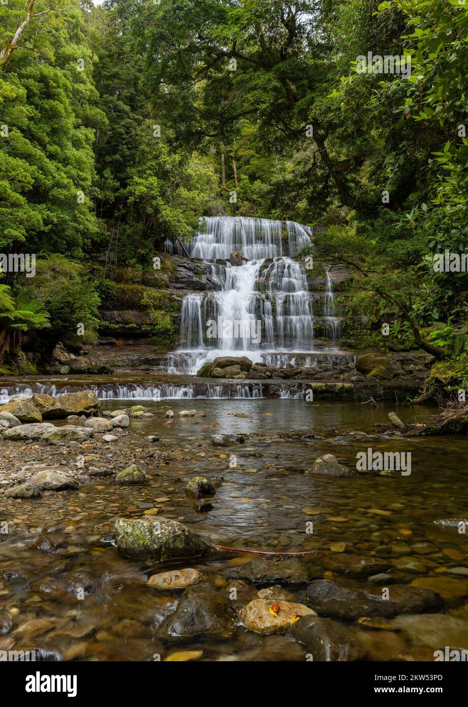 front on shot of liffey falls on a rainy day Stock Photo - Alamy
