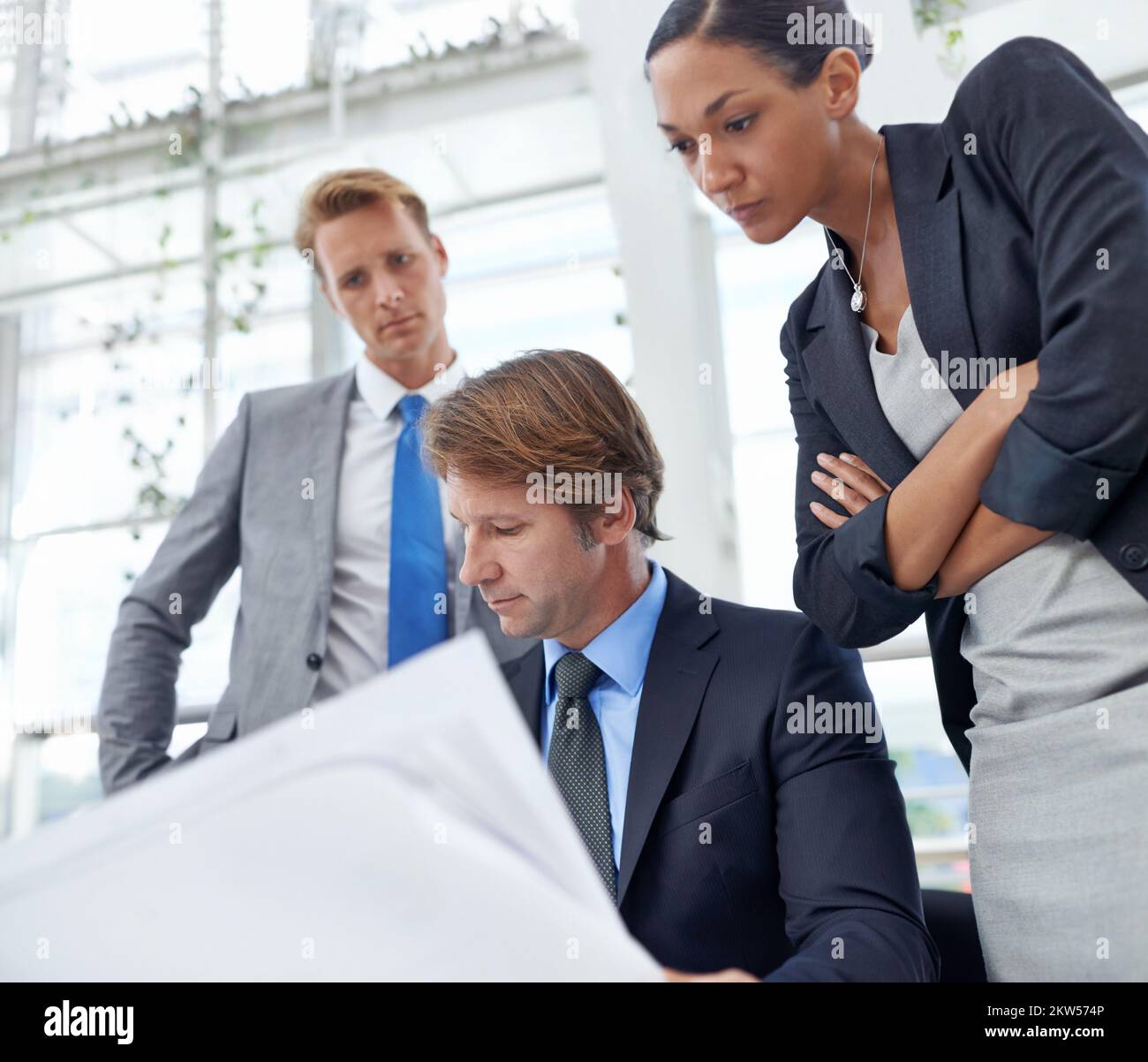 Painstaking attention to detail. A group of professionals looking over ...