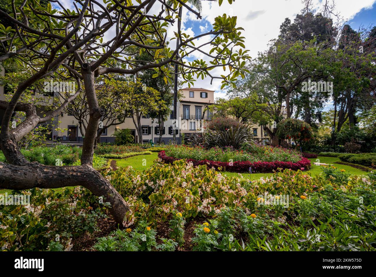Park with flowers, Jardim Municipal do Funchal, Funchal, Madeira Stock ...