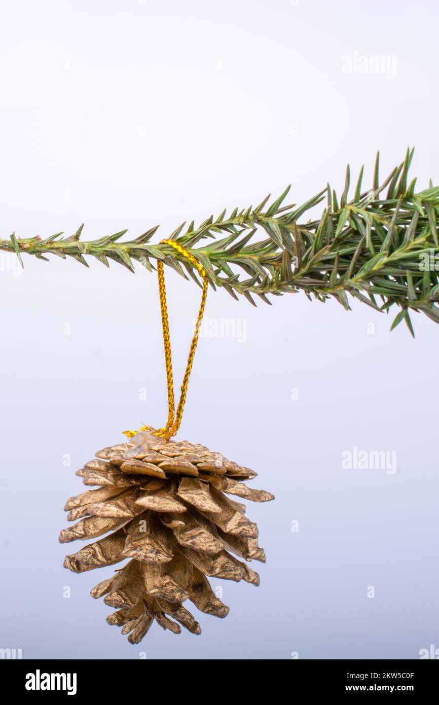 Pine cone at the one edge of a stick Stock Photo - Alamy