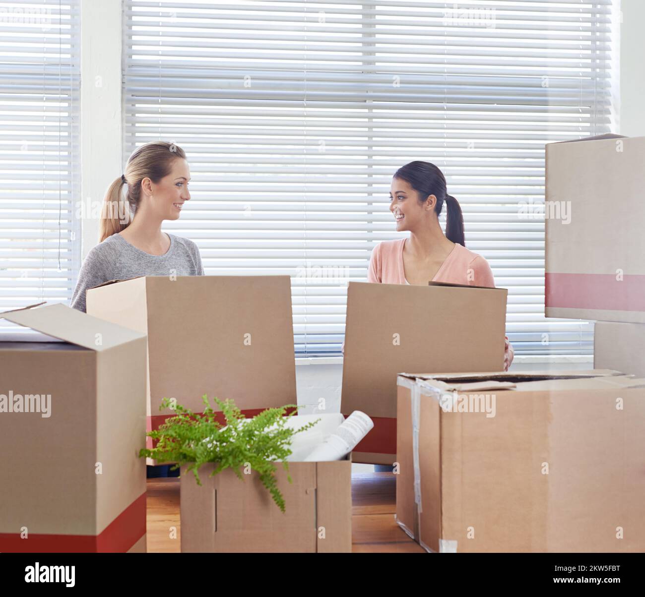 Theyre happy with their new office. Two female entrepreneurs surrounded ...