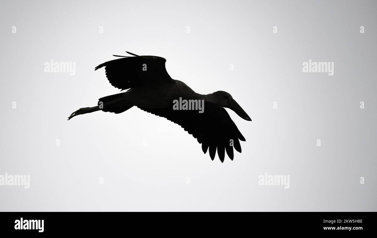 Open positions hi-res stock photography and images - Alamy