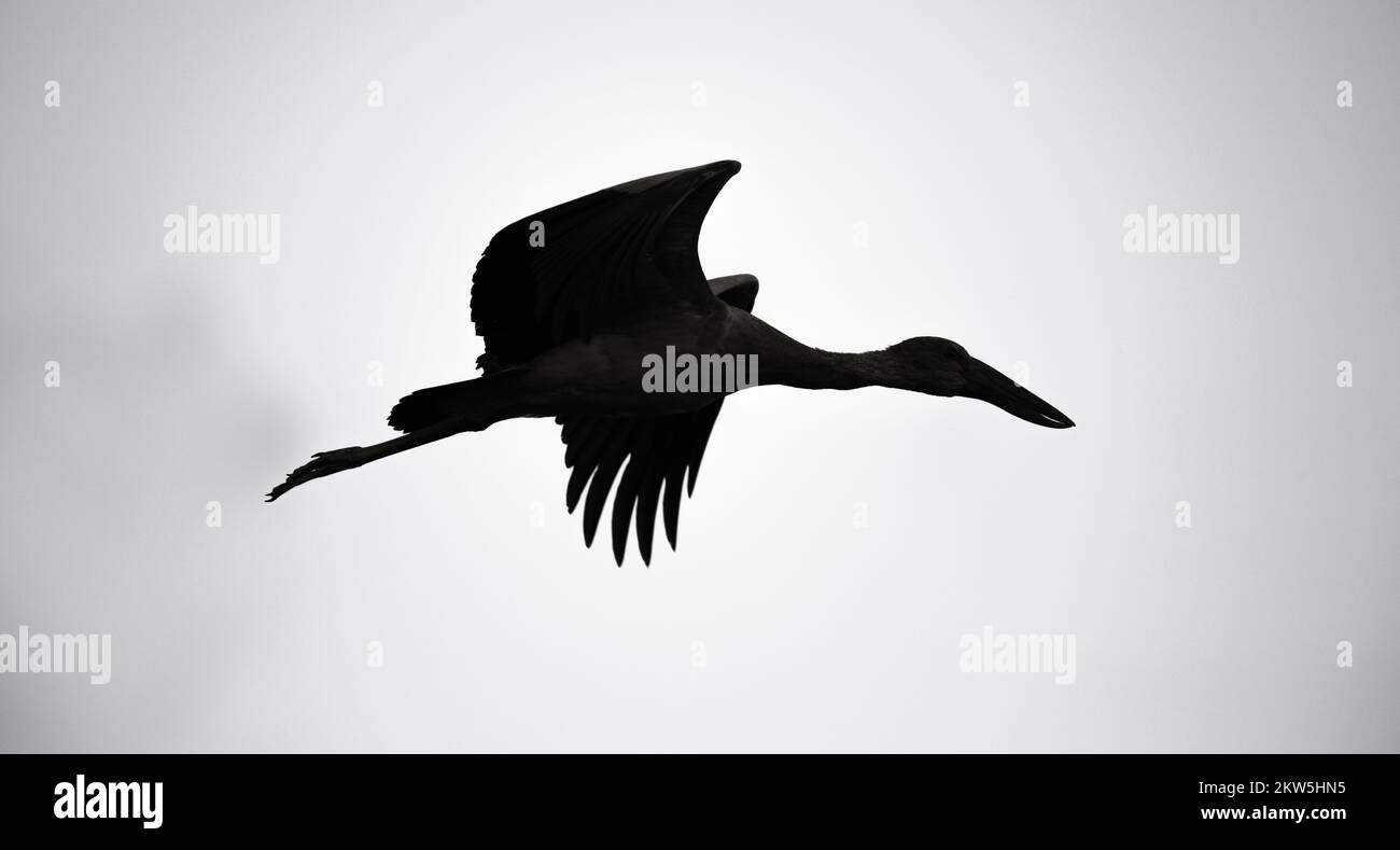 Open positions hi-res stock photography and images - Alamy