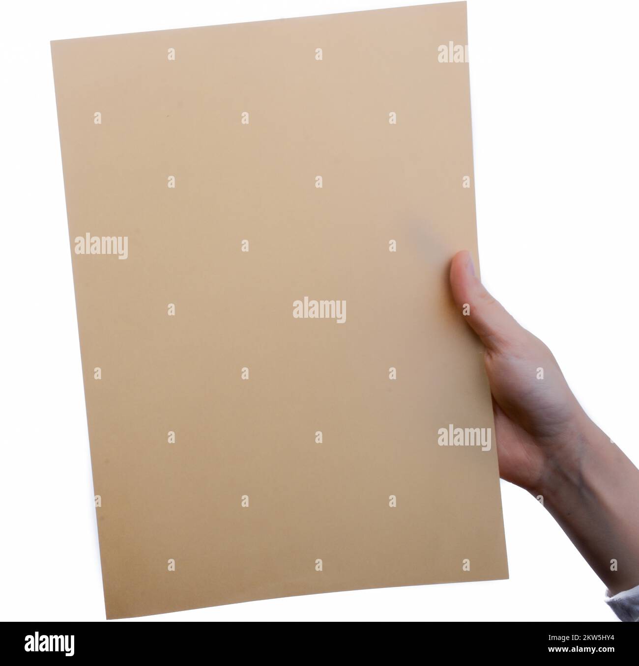 Sheet of Paper in hand on a white background Stock Photo - Alamy