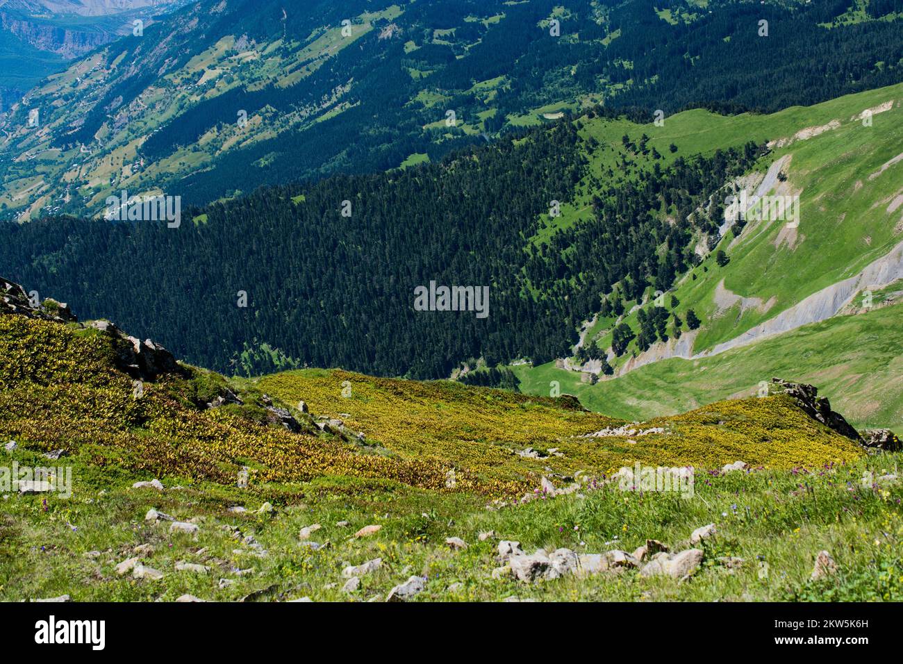 Green pasture in mountains during summer as nature background Stock ...