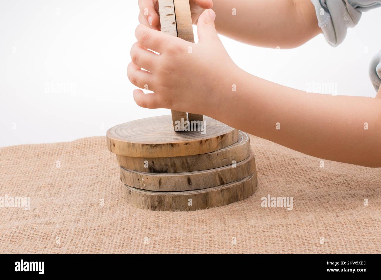 Wood Log cut in round thin pieces in hand Stock Photo - Alamy