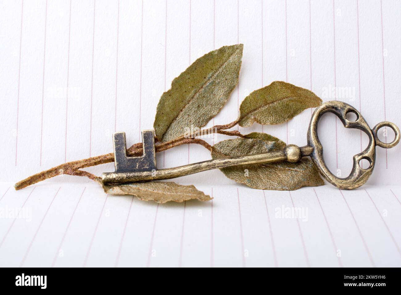 Plenty of Retro styled golden color keys Stock Photo - Alamy